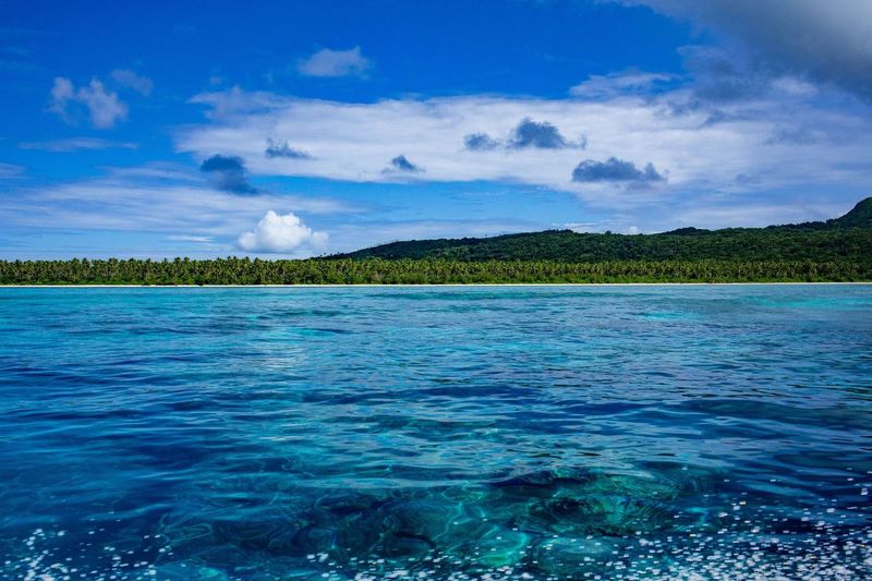Sea Turtle Nesting Paradise – EXPLORE Fiji