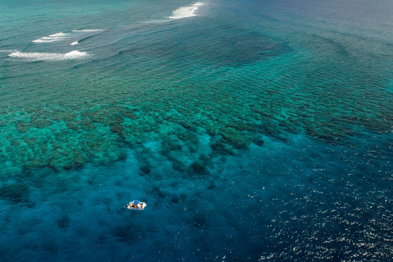 Diving the Great Sea Reef: Journey into Fiji’s Untamed Blue