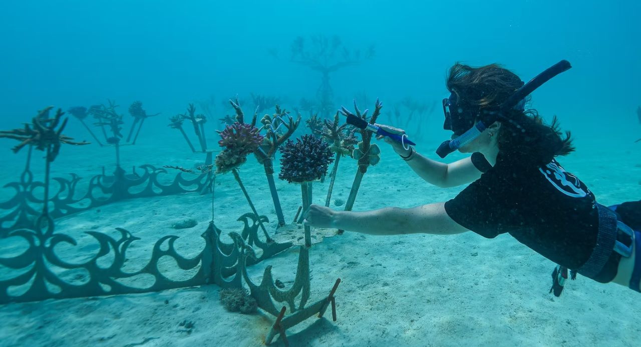Castaway Unveils Fiji’s Newest Sculptural Coral Gene Bank